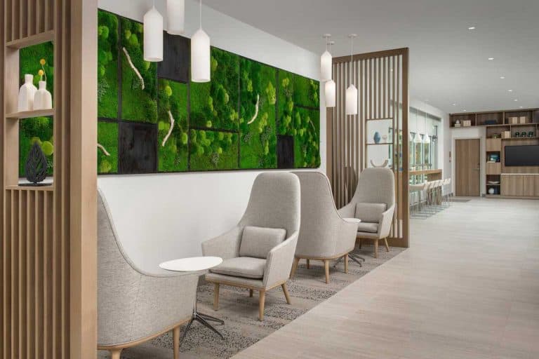 The Amazing Benefits Of Moss Walls For Any Space - Eco Brooklyn