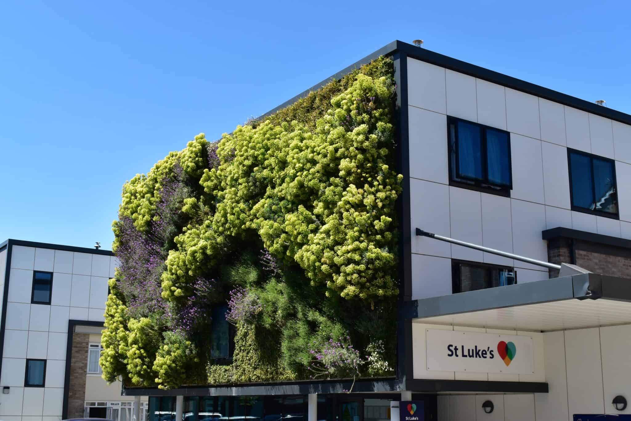 Living Walls In Hospitals – Benefits and Design Ideas - Eco Brooklyn