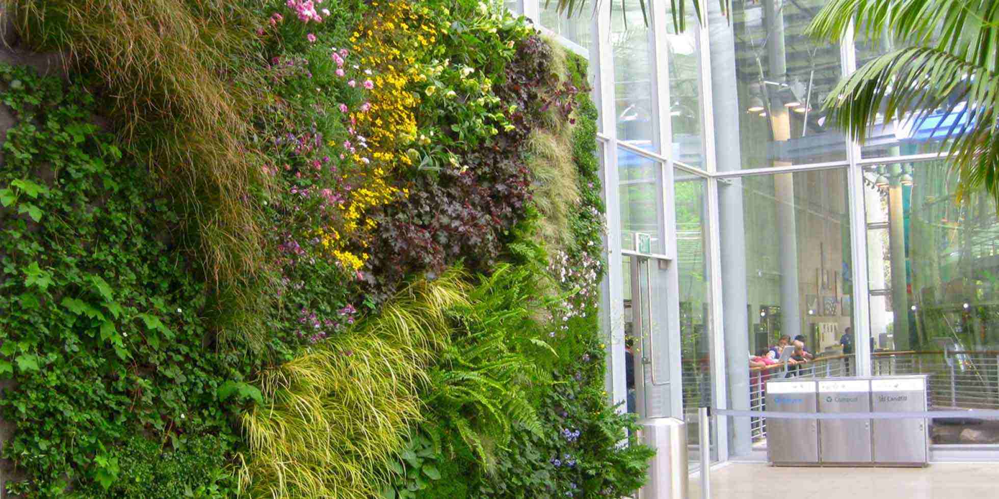 Living Walls In Museums – Where Nature Meets Culture! - Eco Brooklyn