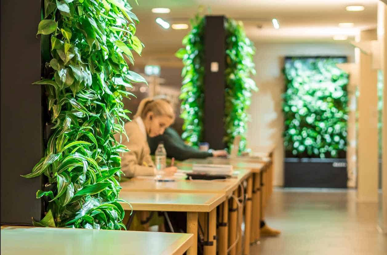Nurturing Minds: 5 Benefits of Living Walls in Educational Spaces - Eco ...