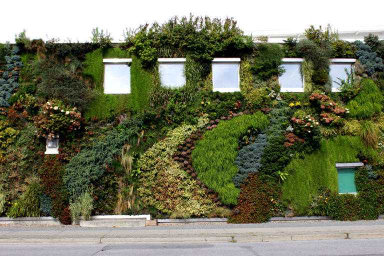 Living Walls vs. Green Roofs: An In-Depth Comparison - Eco Brooklyn